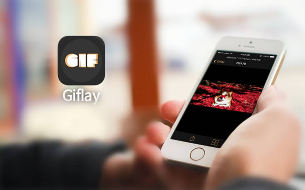 [鲜面] 如何治好 iPhone 的 GIF 无能症？- Giflay #iOS | 爱范儿