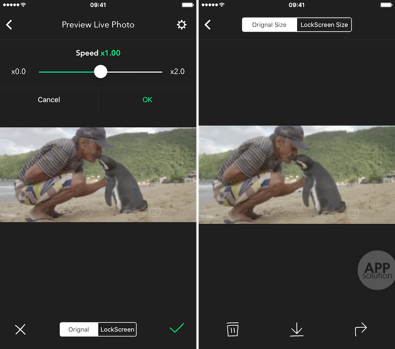 想对 Live Photos 为所欲为，有它们就够了 | 爱范儿
