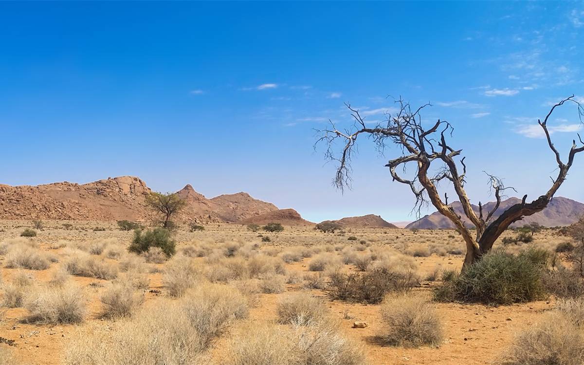 我的绿洲，MyOasis：唯美植物养成游戏 #iOS #Android | 爱范儿