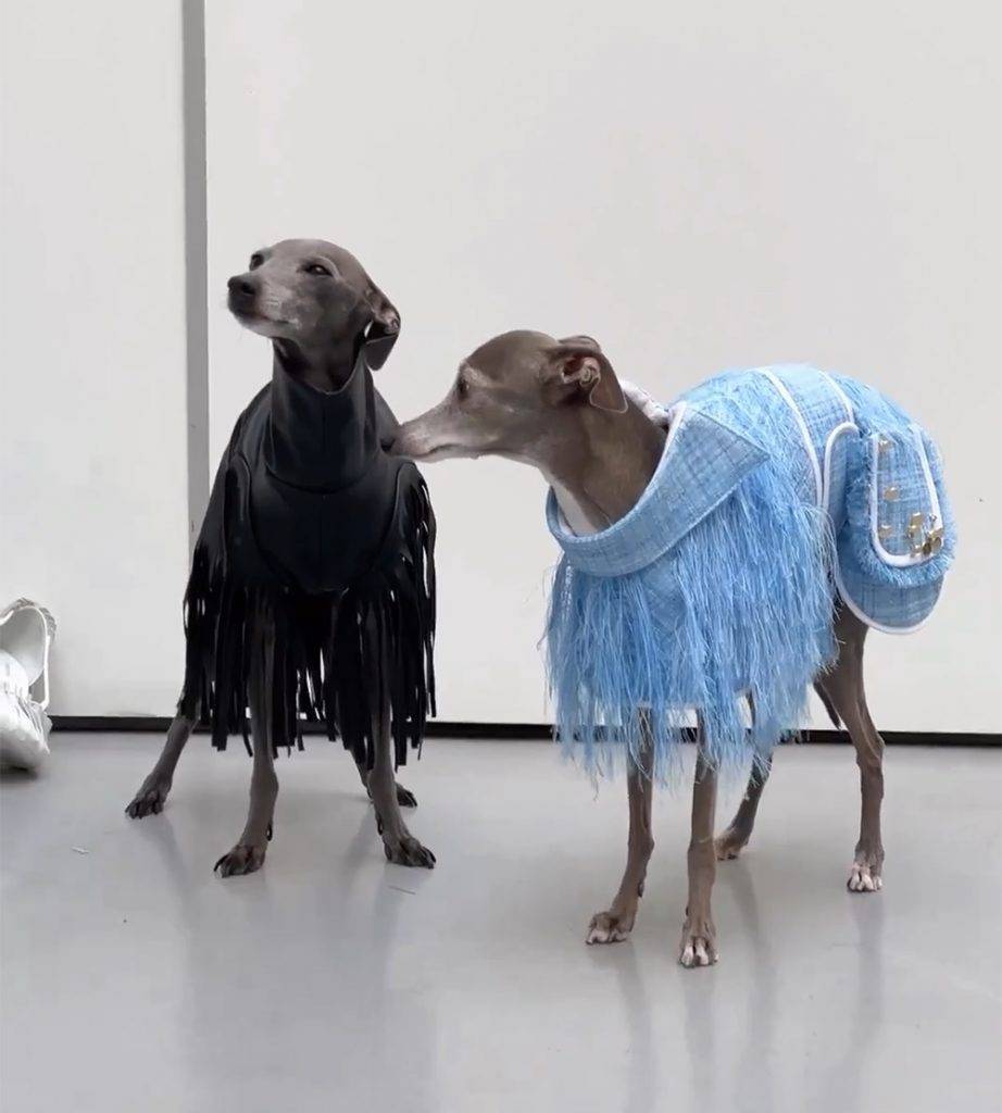 再次惊艳全球！现场喷衣成名后，他们用月球陨石做出天价包包 | 爱范儿